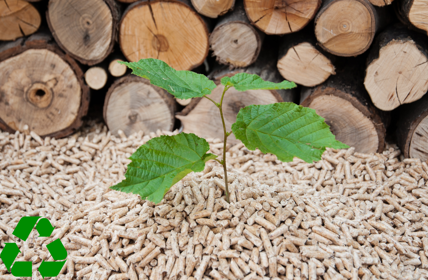 Biomass Heating vs Alternatives - Complete Guide - besthomeheating.com
